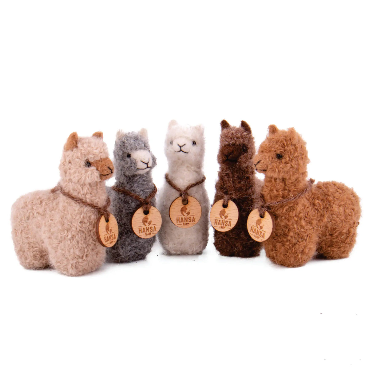 Mini Alpacas – Hansa-Farm